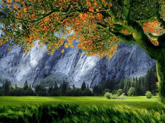 Harlindon | Śródziemie Wiki | Fandom