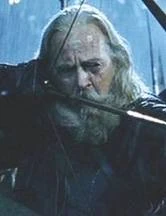 Aldor | Śródziemie Wiki | Fandom