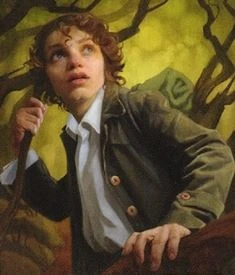 Merry Lord Of The Rings