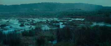 Midgewater Marshes | The One Wiki to Rule Them All | Fandom