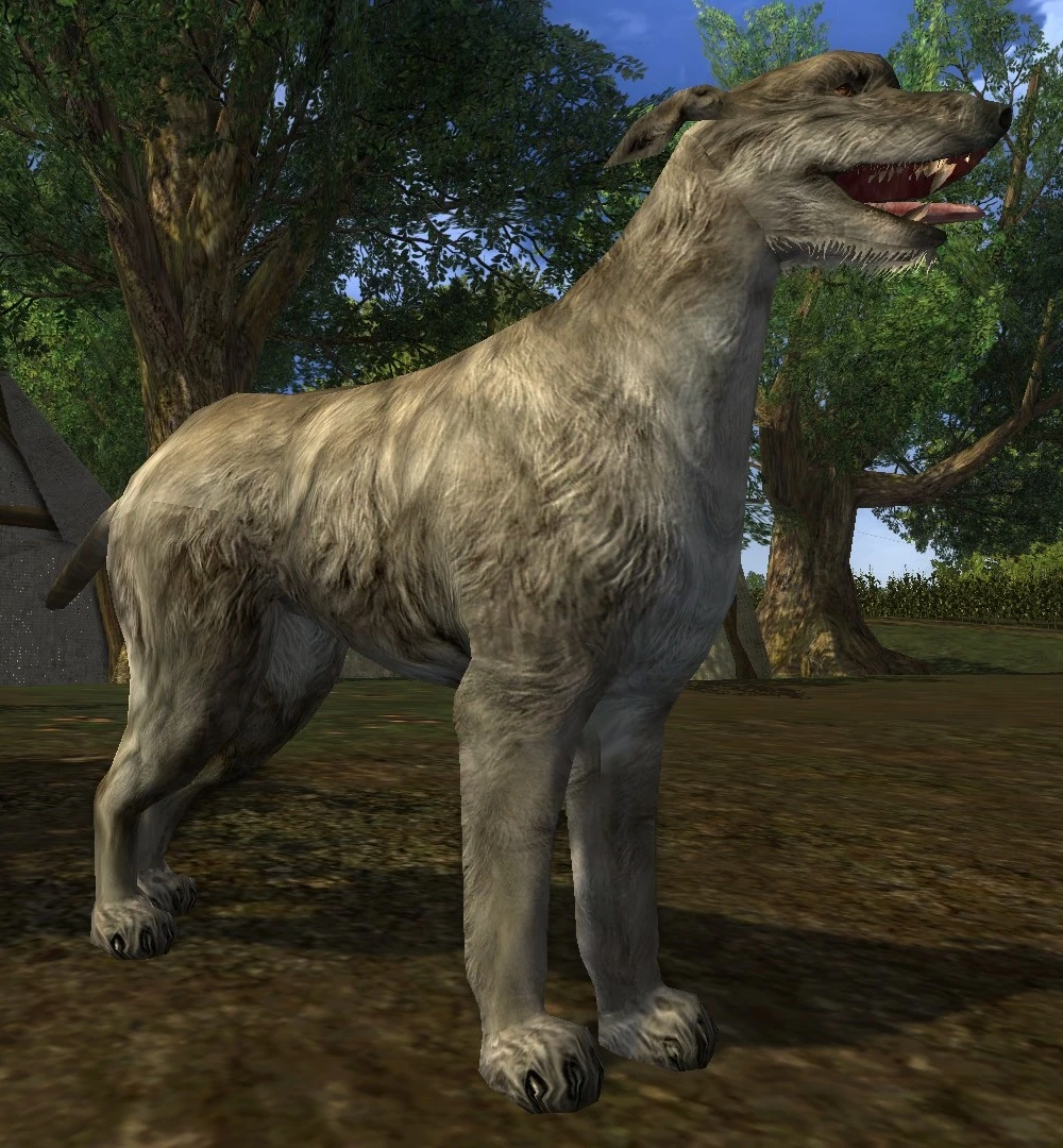 Wolf | The One Wiki to Rule Them All | Fandom