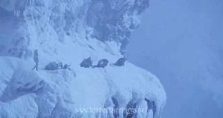 Caradhras | Der Herr der Ringe Wiki | Fandom