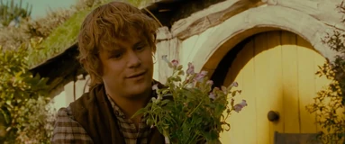 Samwise Gamgee | The One Wiki to Rule Them All | Fandom
