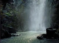Forbidden Pool | The One Wiki to Rule Them All | Fandom