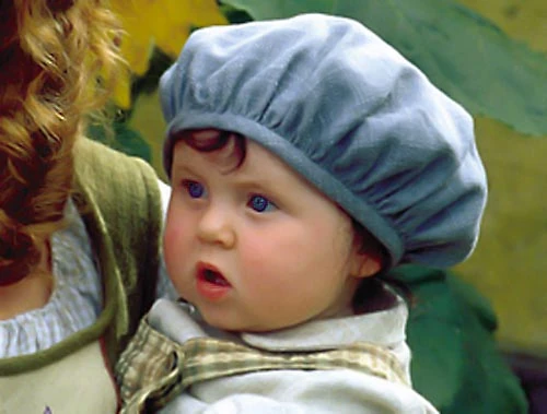 Sam Lord Of The Rings Actor