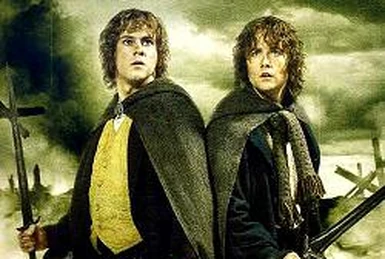 Fellowship Of The Ring Group