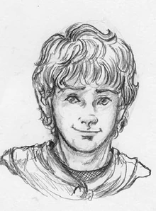 Halfast Gamgee | LOTR Fanon | Fandom