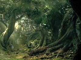 Huorn | LOTR Fanon | Fandom