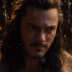 Bard Bowman | LOTR Fanon | Fandom
