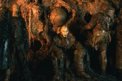 Isengard Orcs | LOTR Fanon | Fandom