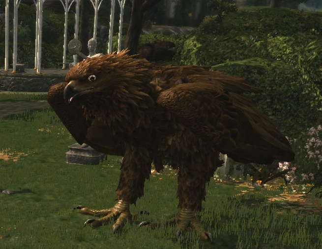 Armenel | Lord of the Rings Gaming Wiki | Fandom