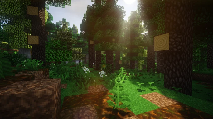 Resource Packs/Immersion | The Lord of the Rings Minecraft Mod Wiki ...