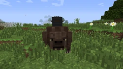 Warg | Der Herr der Ringe Minecraft Mod Wiki | Fandom