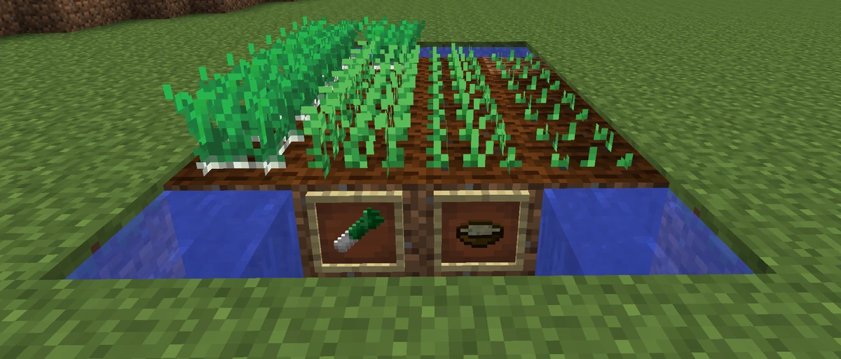 Leek | The Lord of the Rings Minecraft Mod Wiki | Fandom