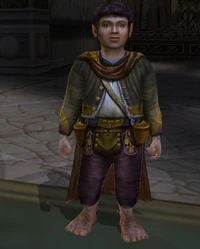 Frodo Beutlin | Der Herr der Ringe Online Wiki | Fandom