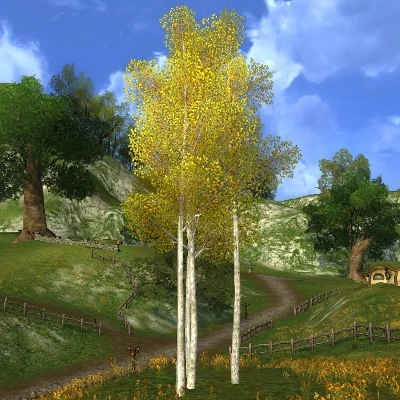 Four Birch Trees | JaLotRO | Fandom