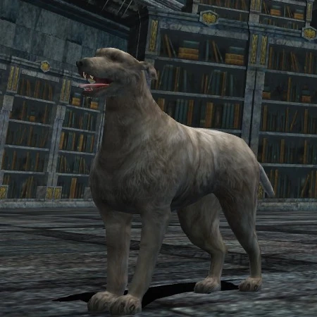 Dog-speech | JaLotRO | Fandom