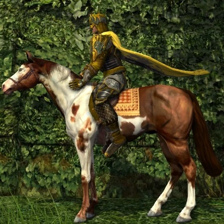 Prized Dark Chestnut Horse | JaLotRO | Fandom