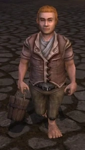 Nob | JaLotRO | Fandom