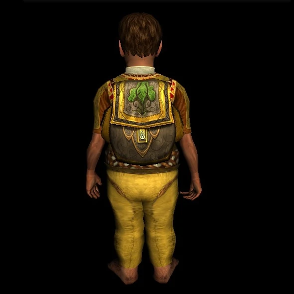 Elegant Backpack | JaLotRO | Fandom