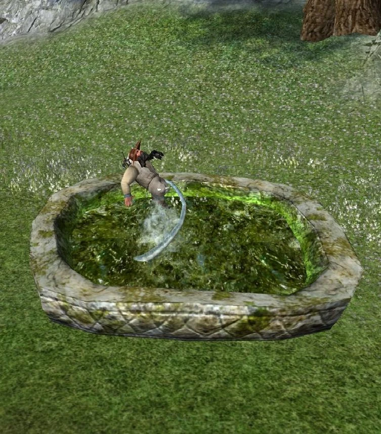 Ominous Pool | JaLotRO | Fandom