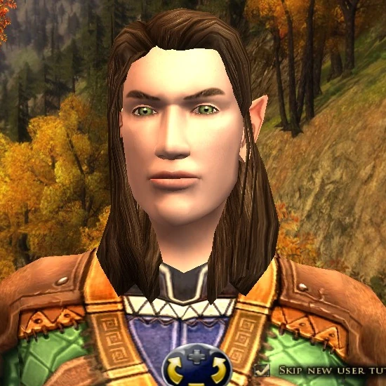 Elf Hair Styles - Male (エルフの髪型 男性) | JaLotRO | Fandom