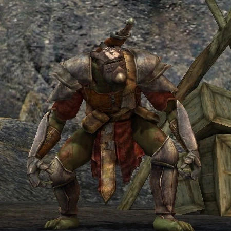 White Hand Soldier Appearance | JaLotRO | Fandom