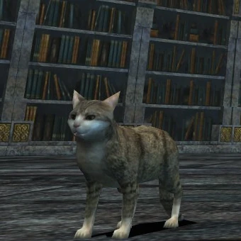 Cat-speech | JaLotRO | Fandom