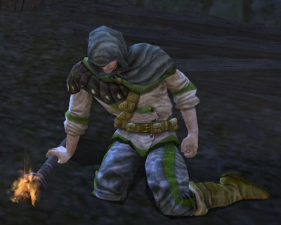 Amdir | Lord of the Rings Online Wiki | Fandom