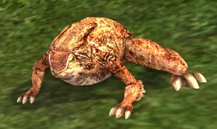 Wild Hill-Toad | Lord of the Rings Online Wiki | Fandom