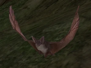 Great Brown Bat | Lord of the Rings Online Wiki | Fandom