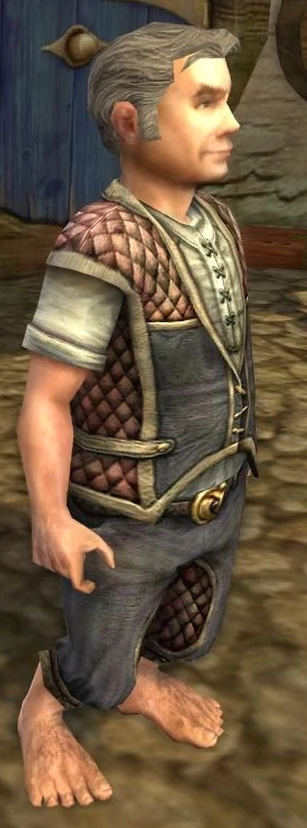 Postman Boffin | Lord of the Rings Online Wiki | Fandom