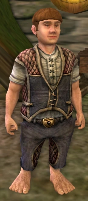 Postman Digswell | Lord of the Rings Online Wiki | Fandom