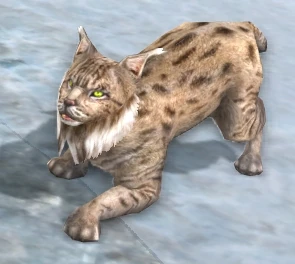 Highland Hunter | Lord of the Rings Online Wiki | Fandom