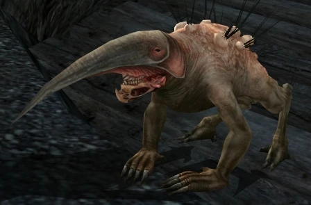 Juvenile Cave-Claw | Lord of the Rings Online Wiki | Fandom
