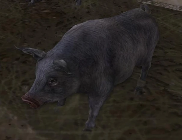 Pig | Lord of the Rings Online Wiki | Fandom