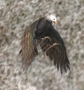 Vale Hendroval | Lord of the Rings Online Wiki | Fandom