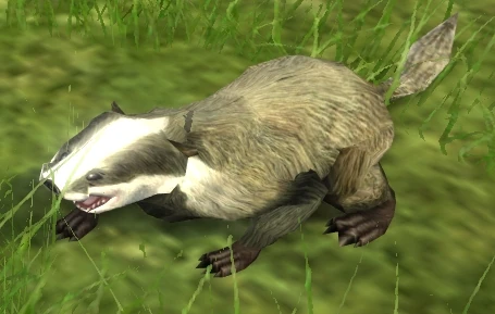 Badger | Lord of the Rings Online Wiki | Fandom