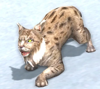 Vale Wildcat | Lord of the Rings Online Wiki | Fandom