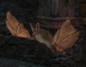 Shrill Bat | Lord of the Rings Online Wiki | Fandom