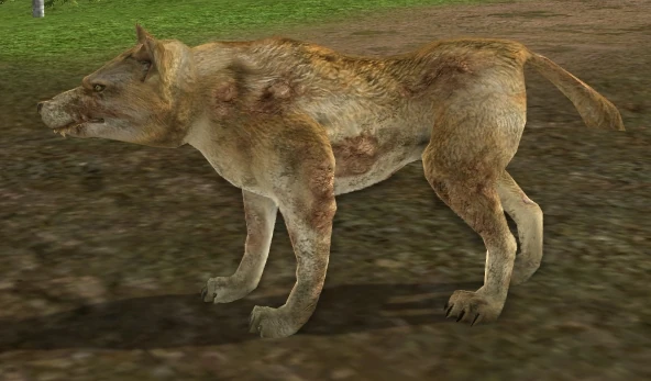 Dusk-Wolf Runt | Lord of the Rings Online Wiki | Fandom