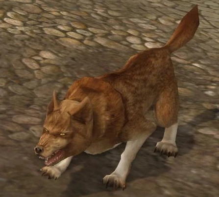 Wolf Leader | Lord of the Rings Online Wiki | Fandom