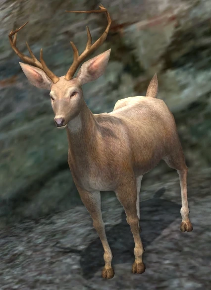 Grey Hill Buck | Lord of the Rings Online Wiki | Fandom