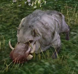 Angry Tusker | Lord of the Rings Online Wiki | Fandom