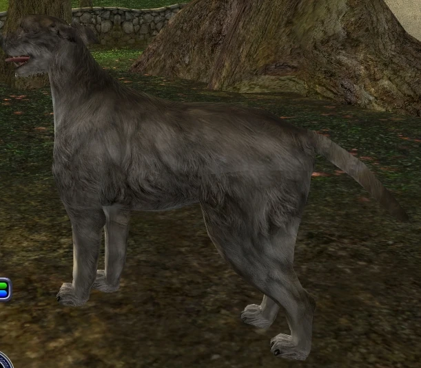 Wolf | Lord of the Rings Online Wiki | Fandom