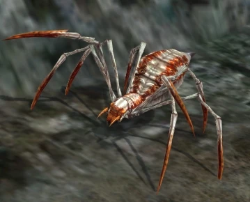 Snow-Spinner Ambusher | Lord of the Rings Online Wiki | Fandom
