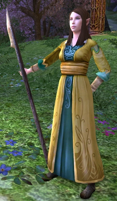 Wanderer | Lord of the Rings Online Wiki | Fandom
