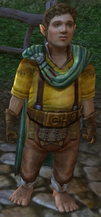 Samwise Gamgee | Lord of the Rings Online Wiki | Fandom