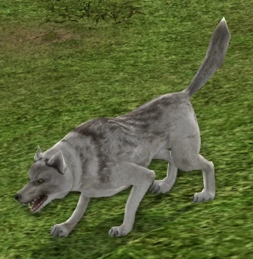 Growling Dusk-Wolf | Lord of the Rings Online Wiki | Fandom