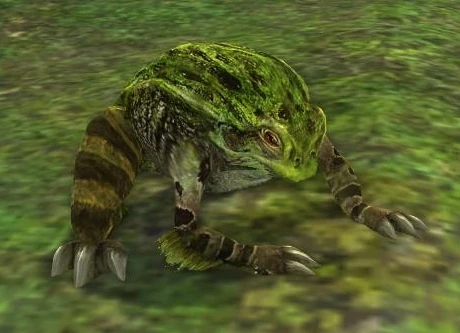 Bog Toad | Lord of the Rings Online Wiki | Fandom